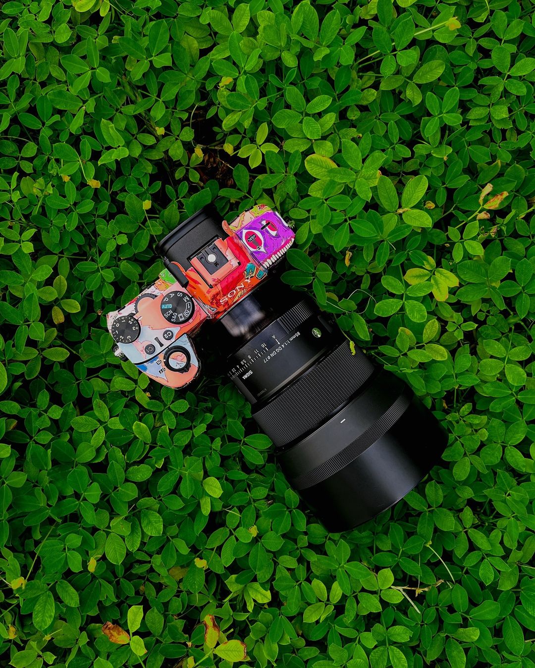 Personalize Your Camera with Premium Camera Skins – WrapCart Skins